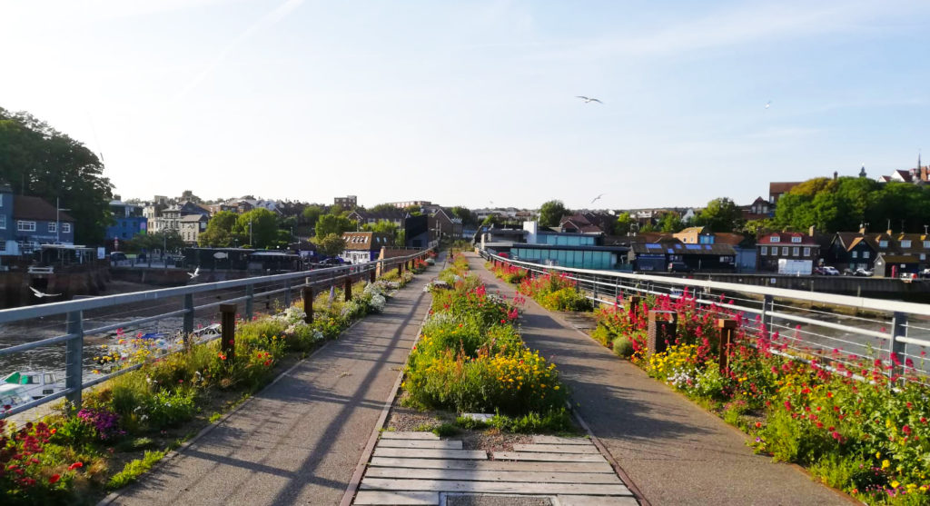News - Folkestone Harbour and Seafront